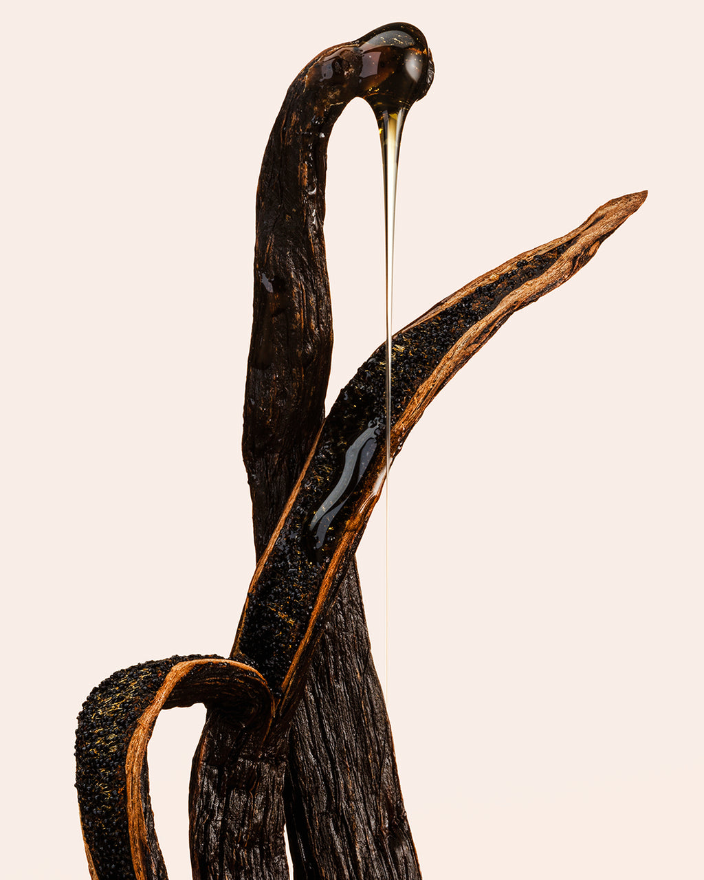 Vanilla Verve Perfume Oil – CYKLAR