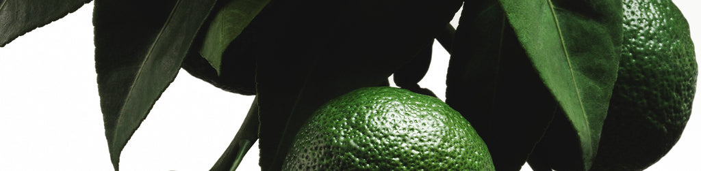 Ingredients – CYKLAR